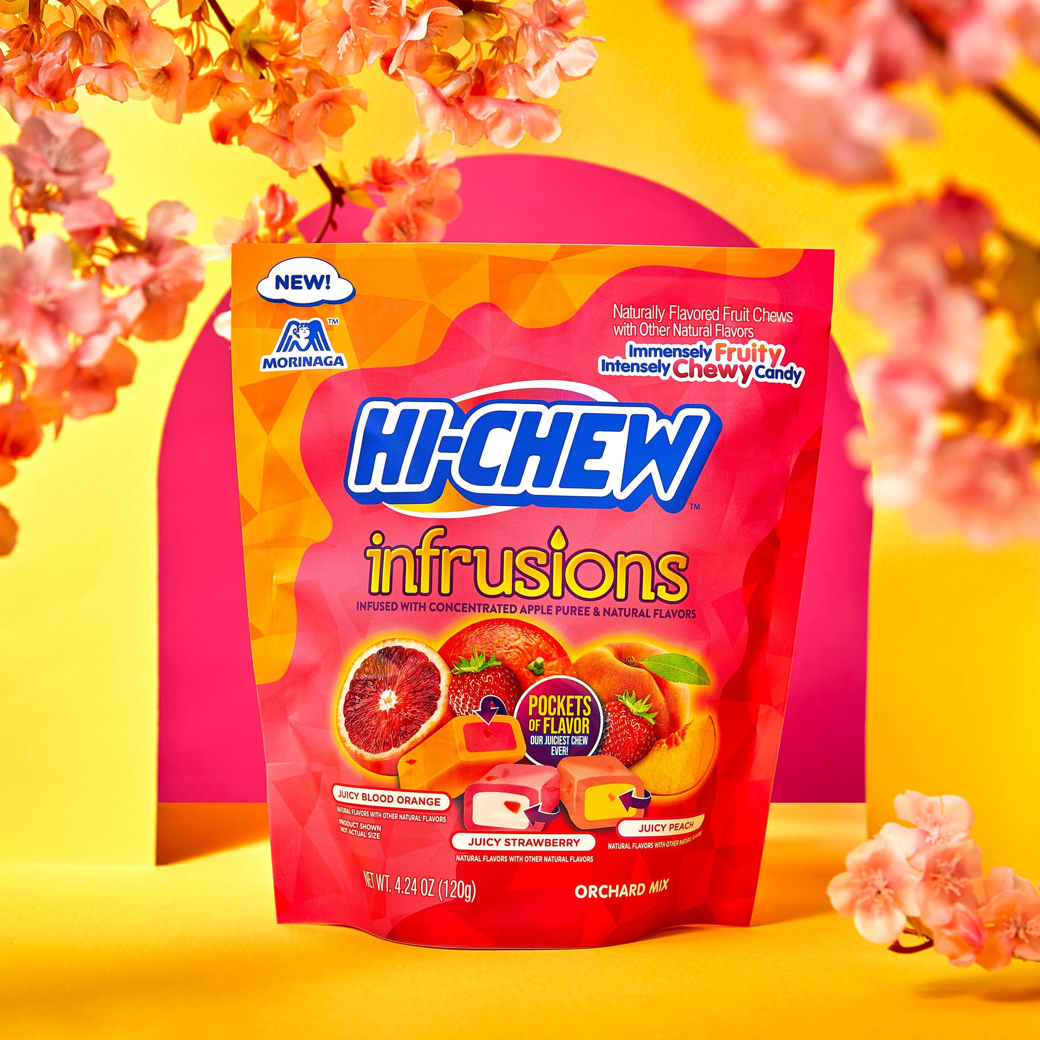 Infrusions Mini Stand Up Pouch – HI-CHEW